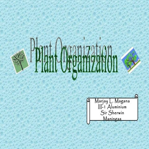 Plant Organization | PPT