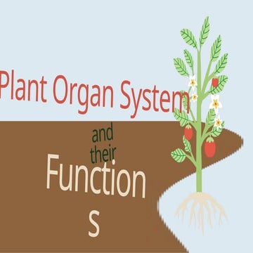 Plant organ system and their function.pptx