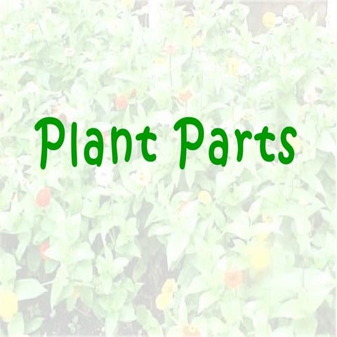 Plantparts 100302130939-phpapp02 | PPT