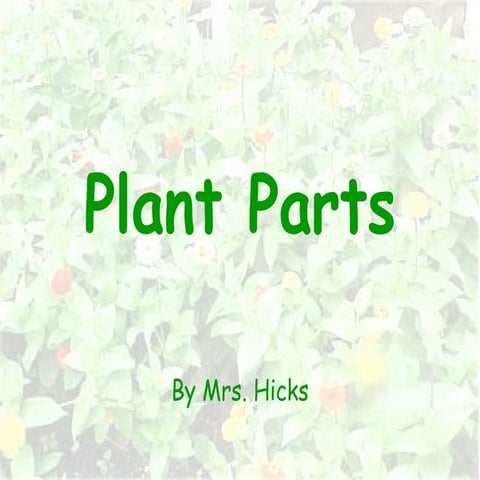 Parts of a plant ppt | PPT