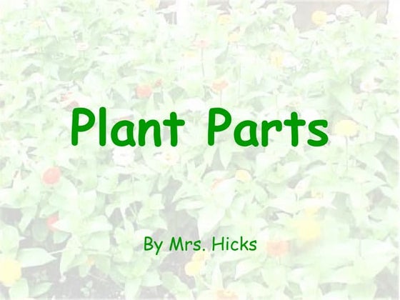 Second Grade Science: Plants | PPT