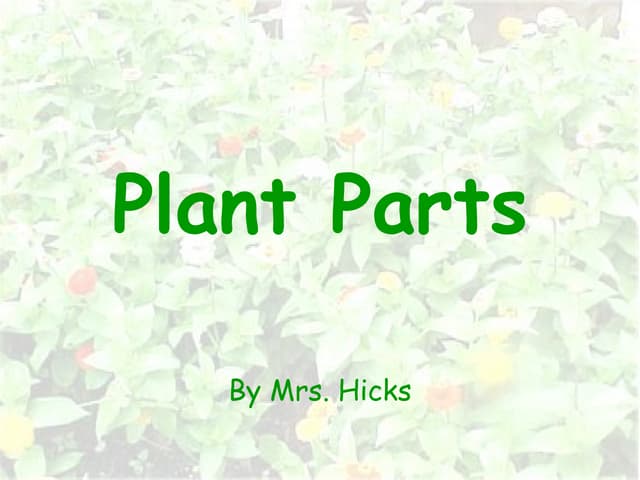 Plants 3rd grade | PPTX