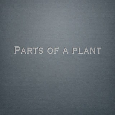 Plant Parts SC | KEY