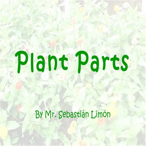 The Parts Of Plants | PPT