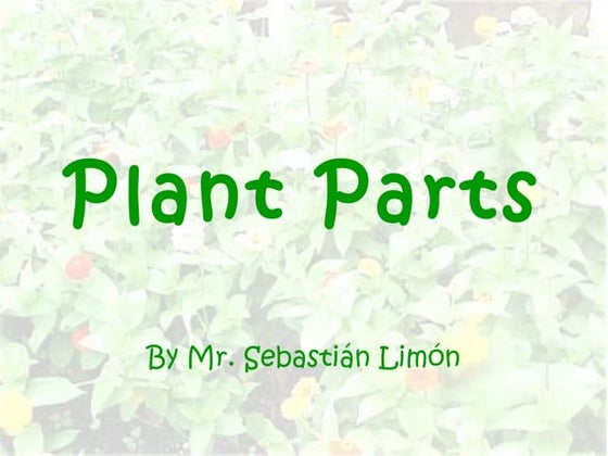 The Parts Of Plants | PPT