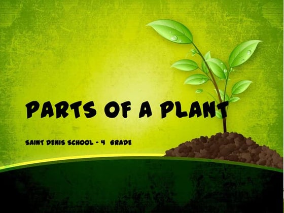Powerpoint plant parts for science gr 5 | PPT