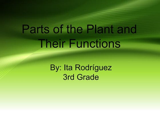 Plants 3rd grade | PPTX