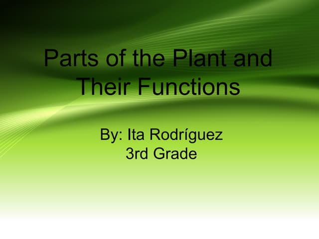 Topic: Parts of a plant for the 4th grades | PPTX