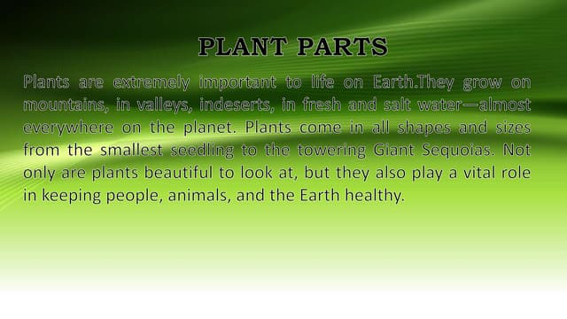 Plants Root and Shoot Systems-GRADE 4.pptx