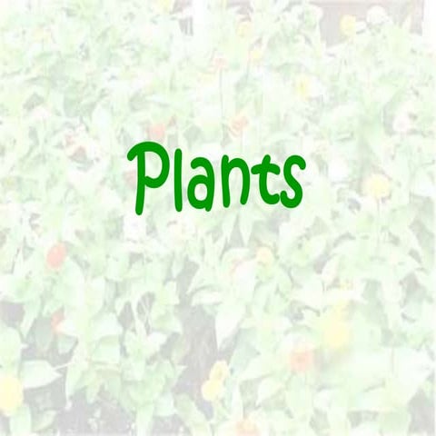 Plants powerpoint and interactive activities