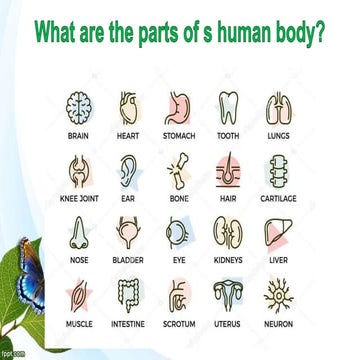 Parts of the plant and their functions | PPT