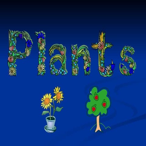 The Parts Of Plants | PPT