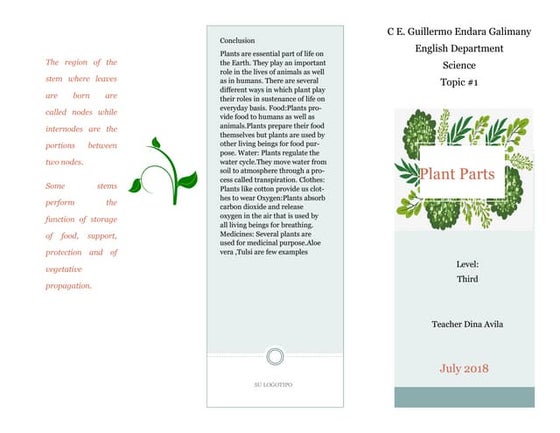 Plants 3rd grade | PPTX