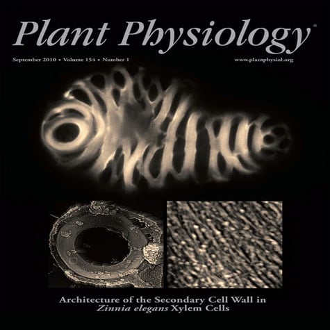 Plant Physiol Cover Sept 2010 | PDF | Gardening | Home & Garden