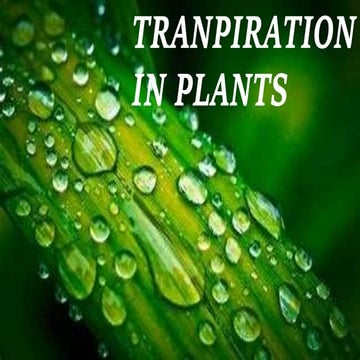 plant water relation, transpiration, root pressure and transpirational ...