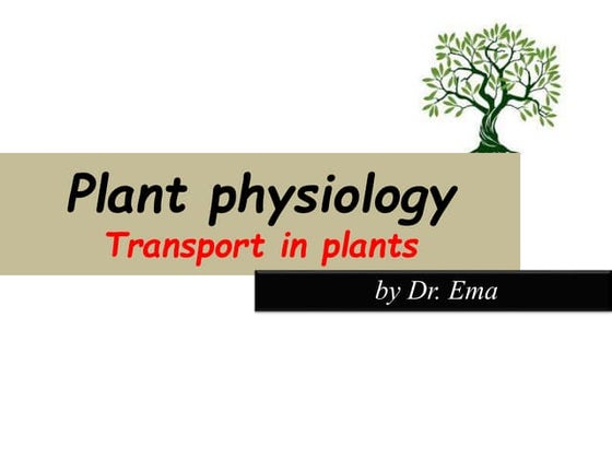 Phytogeography, climate, vegetation and botanical zones | PPTX