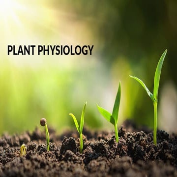 Plant Physiology Lecture Pdf