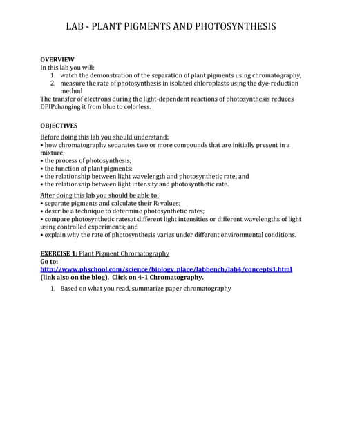 Chromatography lab report biology | PDF