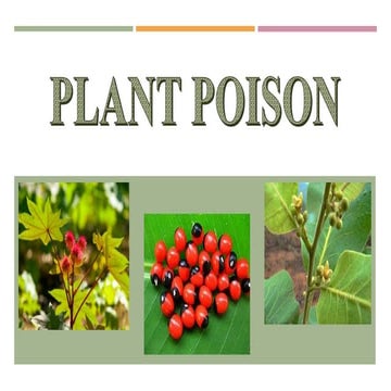 Plant Poisons 1 | PPTX | Herbs and Supplements | Alternative Medicine