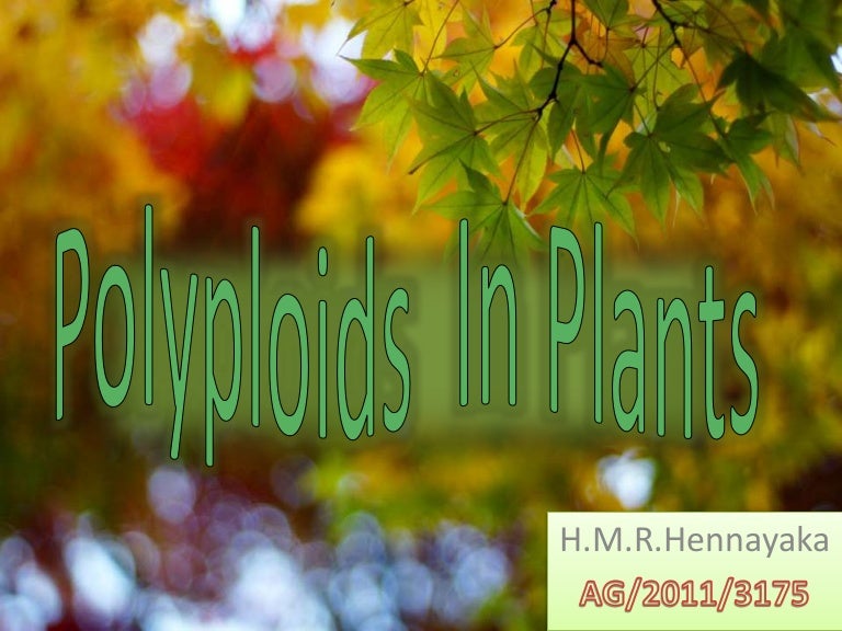Polyploidy In Plants