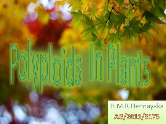 Polyploidy breeding | PPT