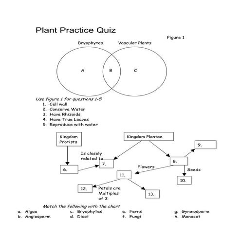 Plant Practice Quiz | DOC | Gardening | Home &amp; Garden