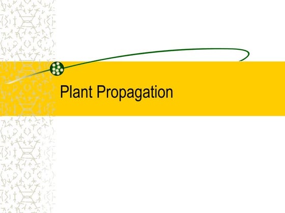 Lab 1 how a plant grows | PDF