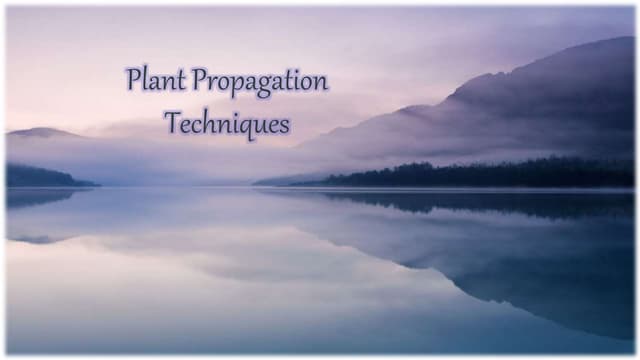 Grade 6 Agriculture Plant Propagation.pptx