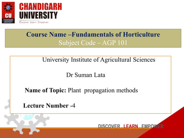 Module 1 lesson 3 | PDF