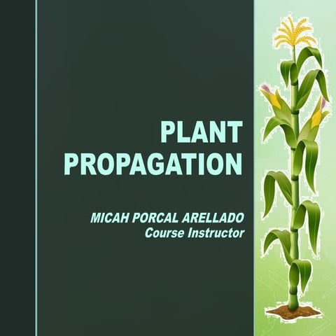 Sexual and Asexual Plant Propagation Techniquepdf | PDF