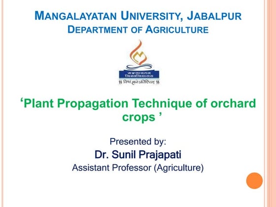 TYPES OF BUDDING | PPT