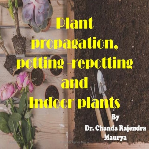 Plant propagation, potting repotting and indoor plants | PDF
