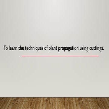 Plant propagation methods practical.pptx