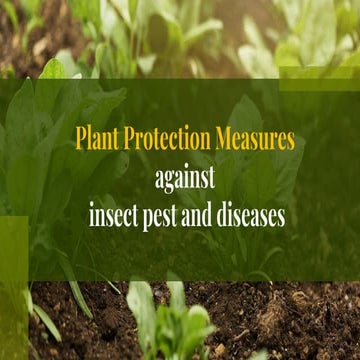 Plant Protection Measures against insect pest and diseases | PPTX