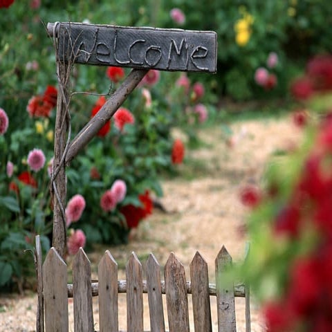 Plant quarantine Quarantina- Forty days period of isolation.pptx