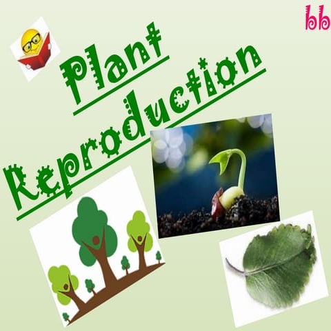 Understanding Plant Reproduction: Seeds, Vegetative Propagation, and ...