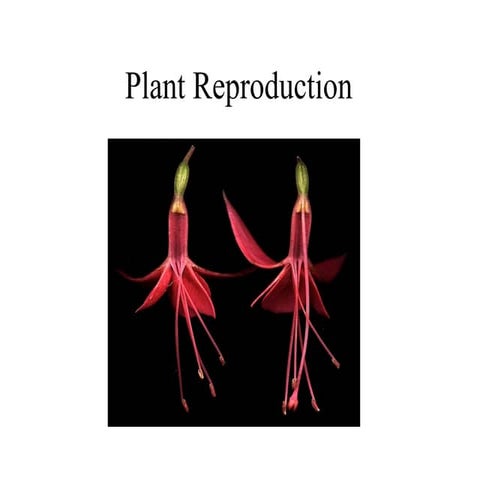 Plantreproduction | PPT