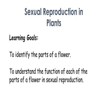 Plant Reproduction | PPT
