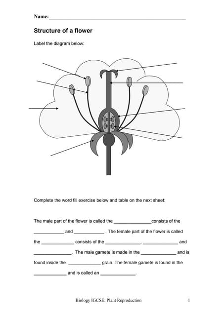 Science fair judging sheet | PDF