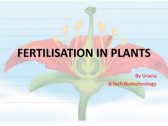 Fertilisation in plants | PPTX