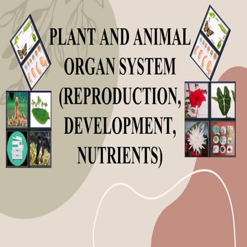 Plant reproduction- PowerPoint Presentation | PPTX