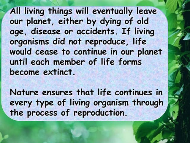 Powerpoint Asexual Reproduction In Plants Pptx