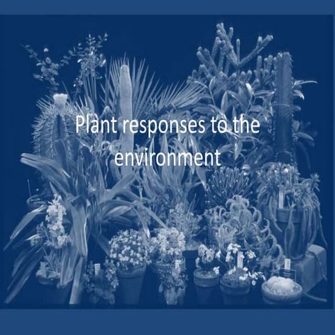 Plant responses to the environment | PPTX