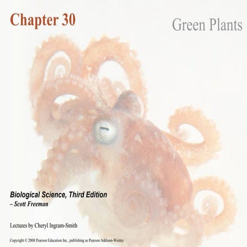 Evolution of plants through different geological time scale | PPTX