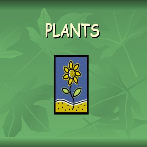 Plants(2) | PPT