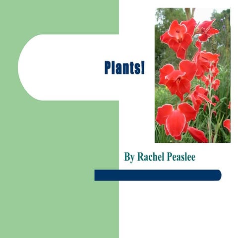 Plants! | PPT