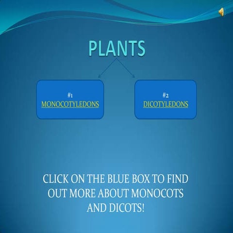 Monocots and dicots | PPT