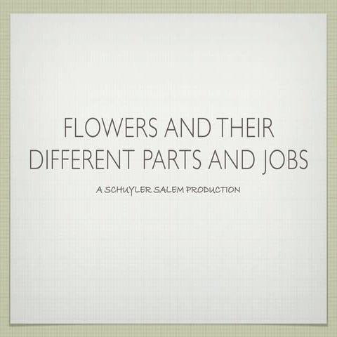 Plant Research Project_SS | PPT