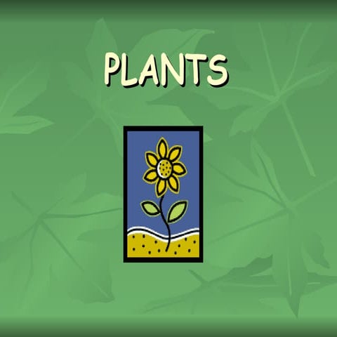Plants | PPT | Gardening | Home & Garden