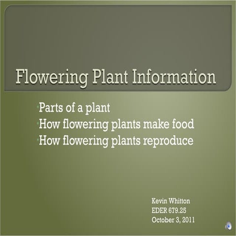 Plants | PPT